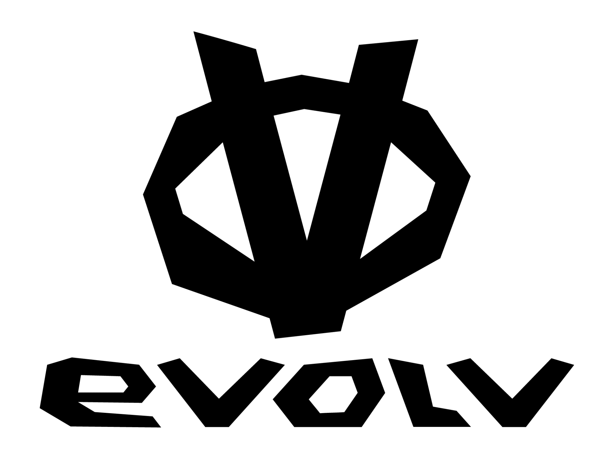 Outdoor Recreation Industry - IPA Collective